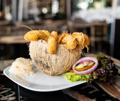 Roma Condesa Magazine